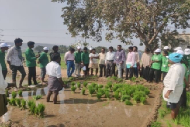 Skill Development Training Programme on Integrated Crop Management (ICM ...